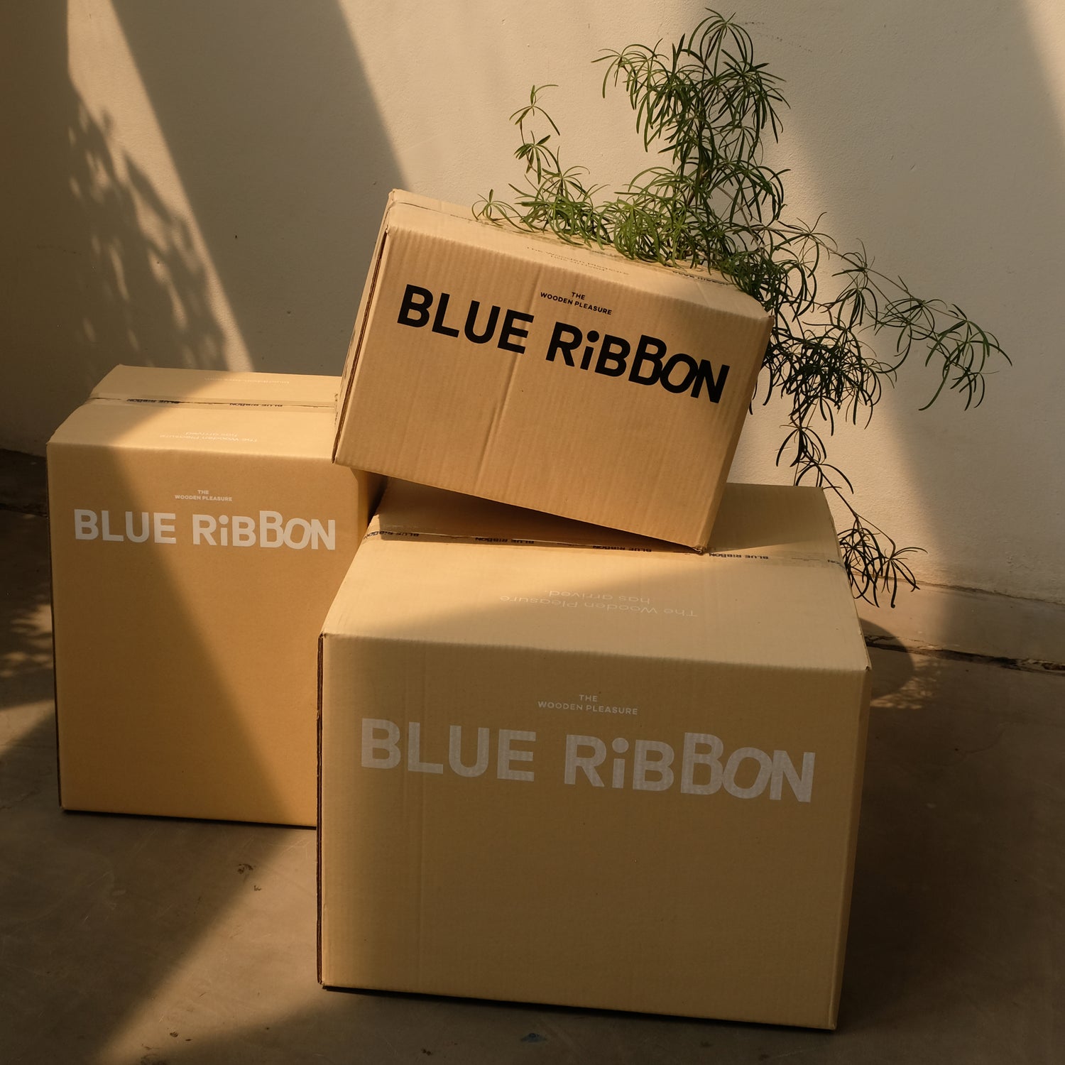 Blue Ribbon Toys